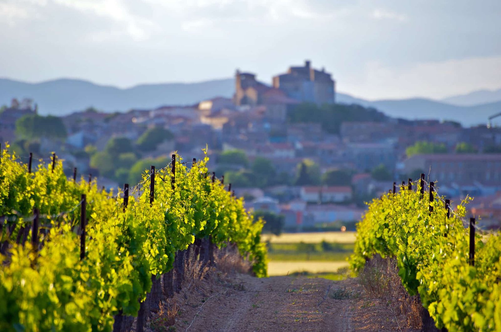 Stay in Provence: Top 5 Stunning Castle